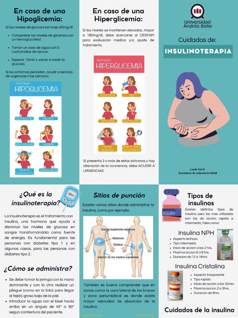 Educación de Insulinoterapia PDF | PDF