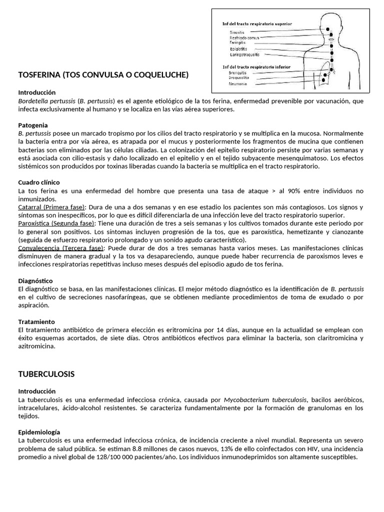 Tosferina (Tos Convulsa O Coqueluche) : Introducción | PDF ...