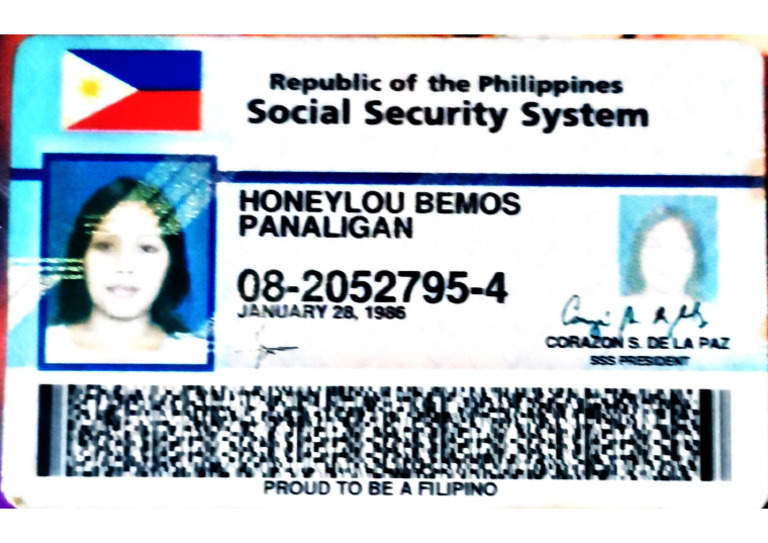 Valid ID Sss | PDF