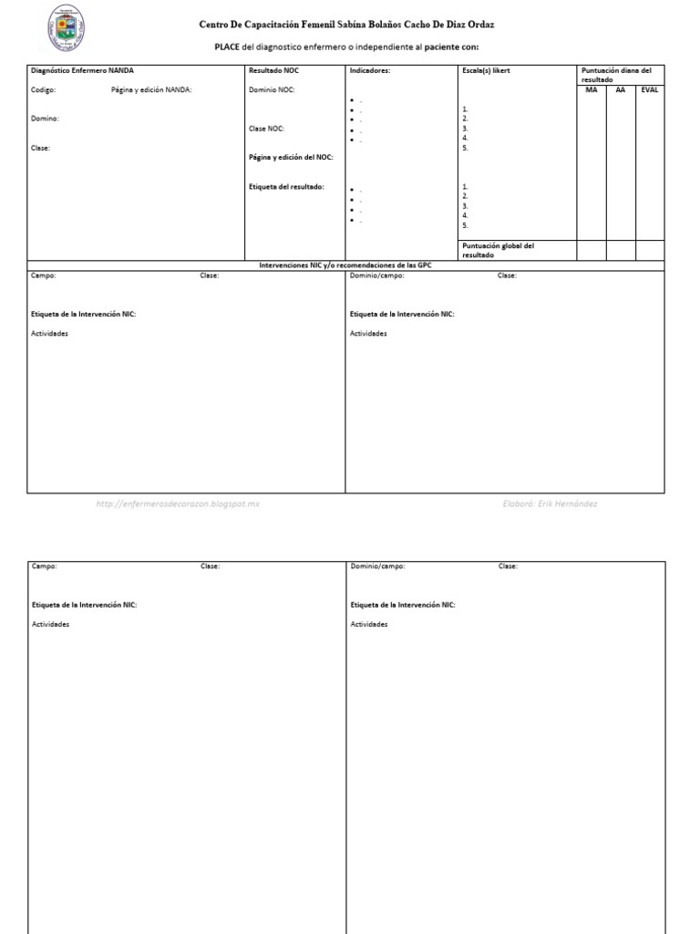 Formato Place | PDF | Enfermería | Cuidado de la salud