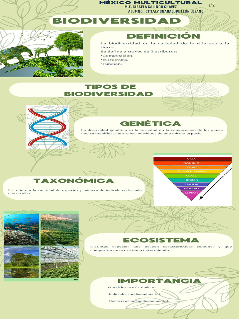 Act1 Biodiversidad | PDF