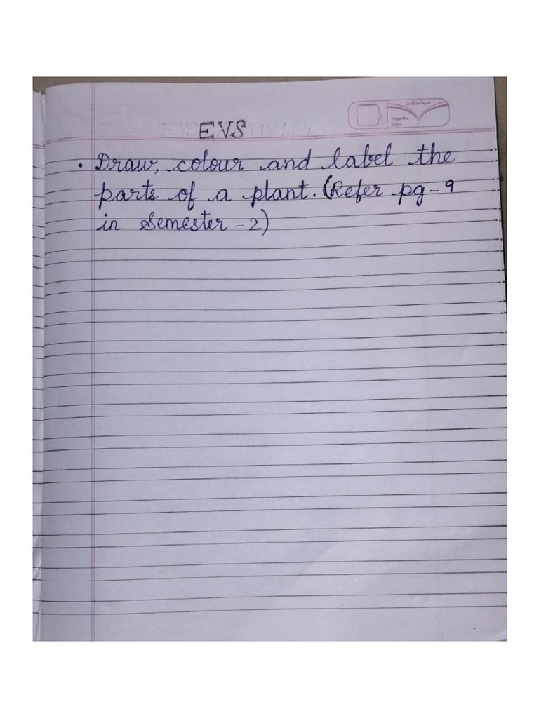 Evs Holiday Homework | PDF