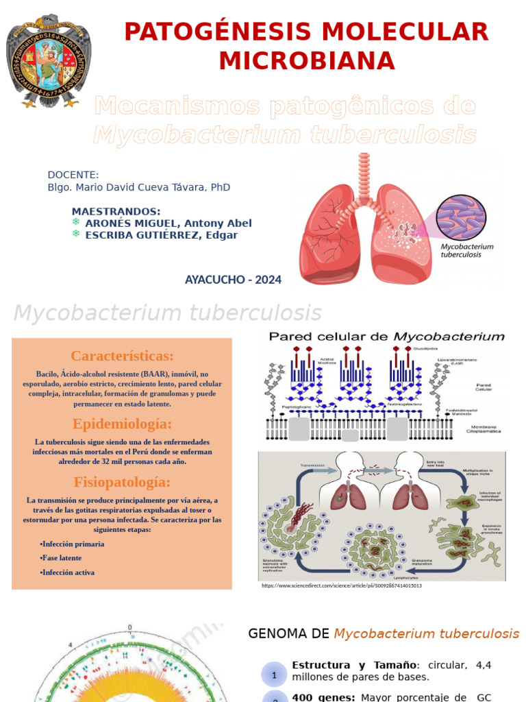 Mycobacterium | PDF | Tuberculosis micobacteriana | Sistema inmune