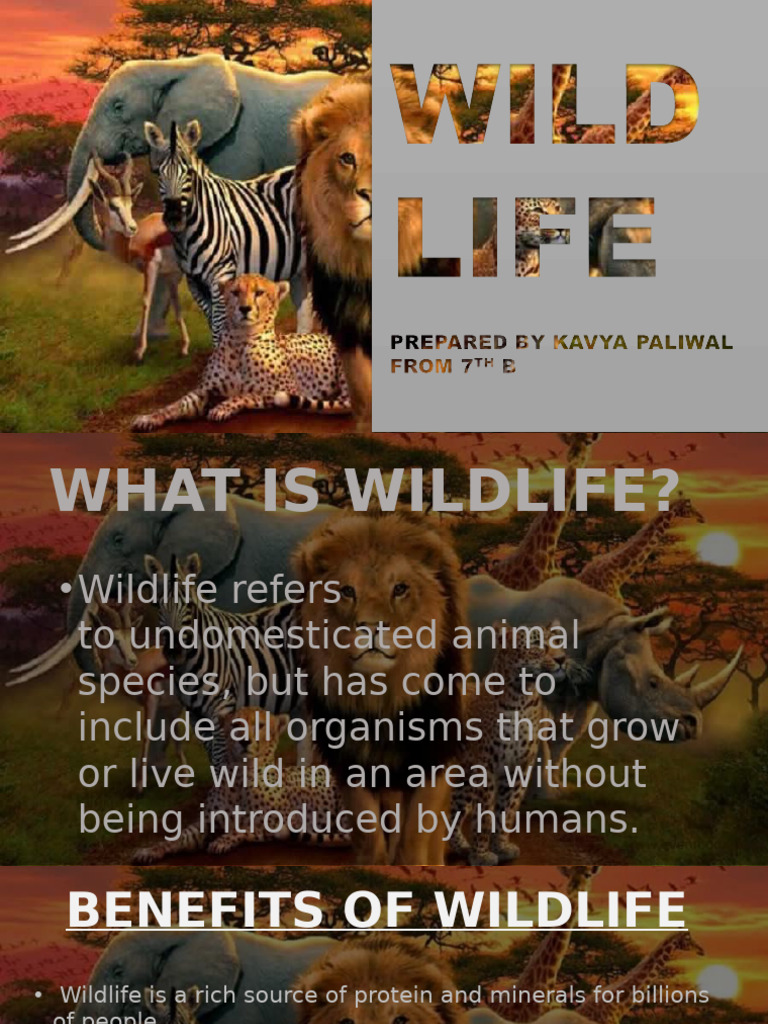 Wildlife | PDF | Wildlife | Habitat