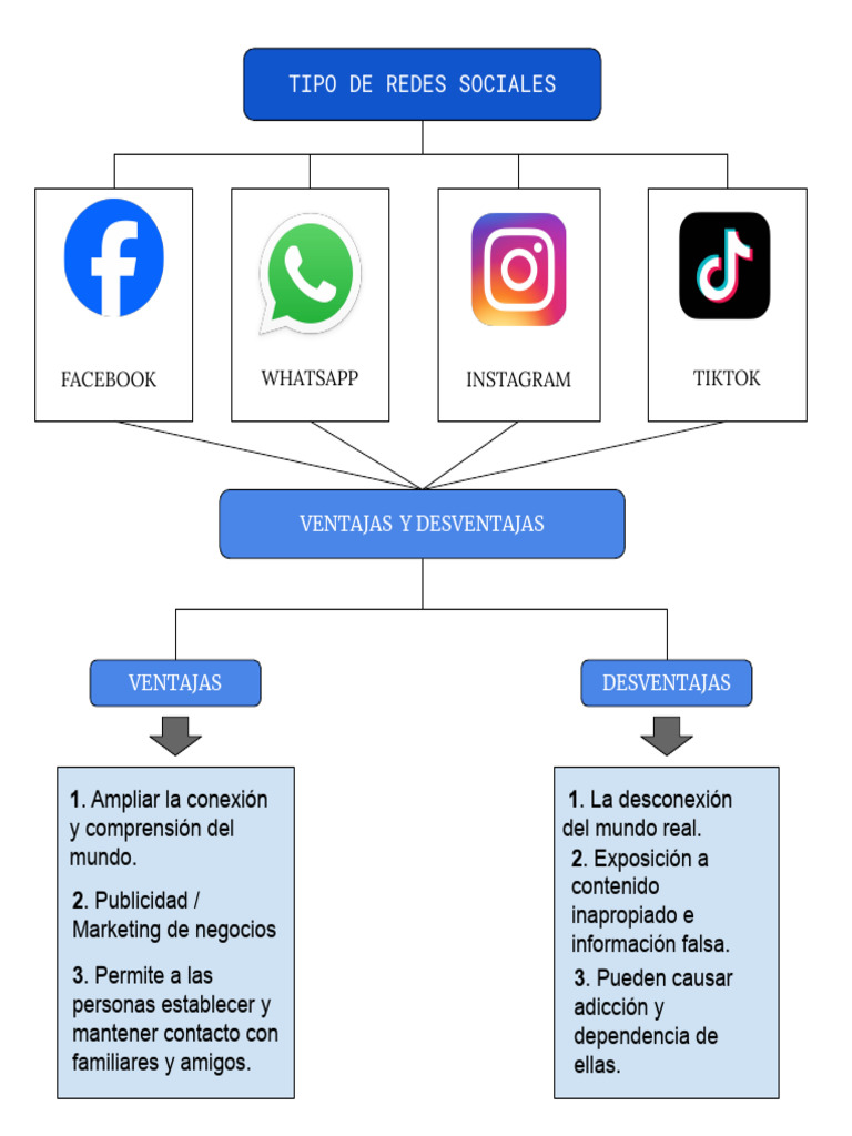 Tipo de Redes Sociales: Facebook Whatsapp Instagram Tiktok | PDF