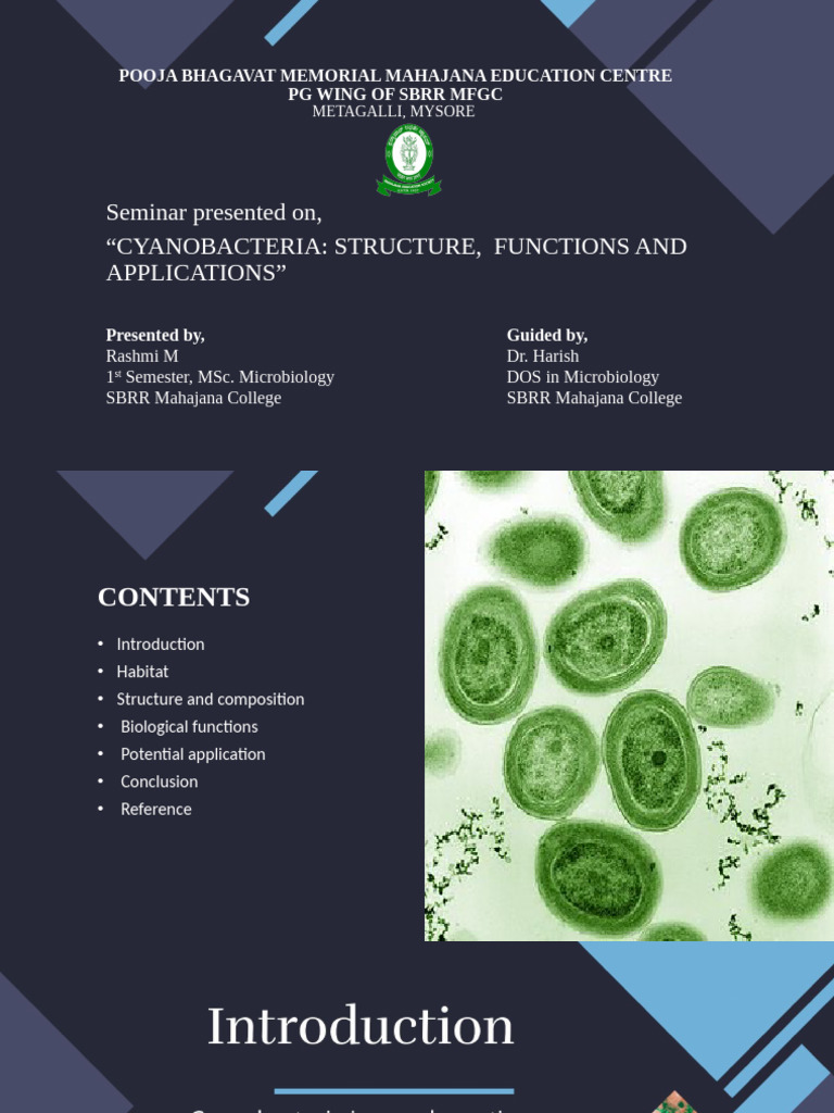 Cyanobacteria: Structure and Applications | PDF | Photosynthesis | Soil