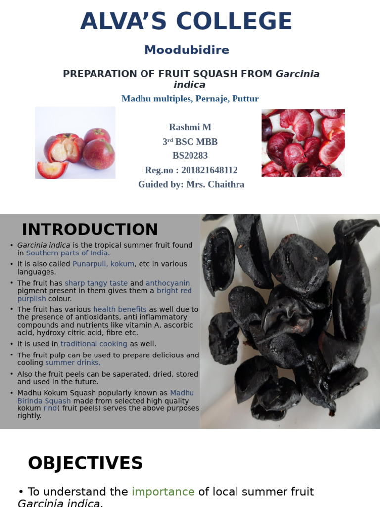 Internship PPT 6th Sem | PDF