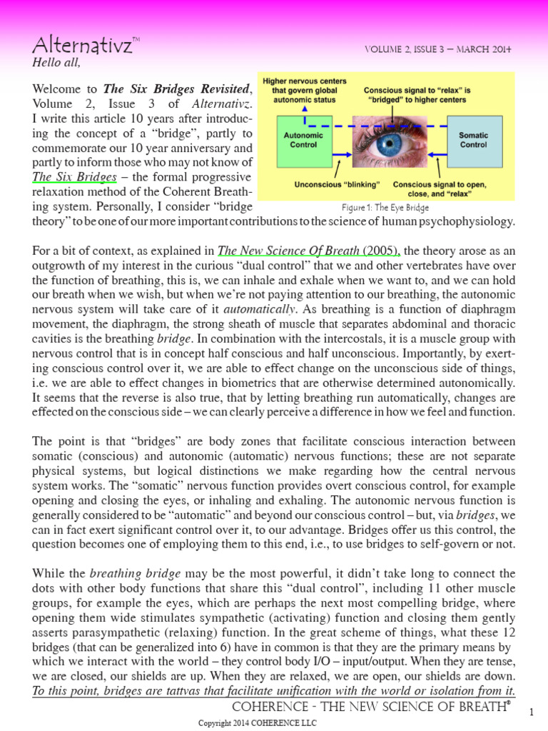 The Six Bridges Revisited | PDF | Breathing | Heart