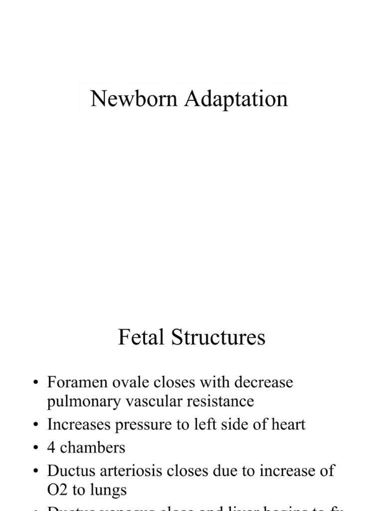 Lesson 2 Adaptation | PDF