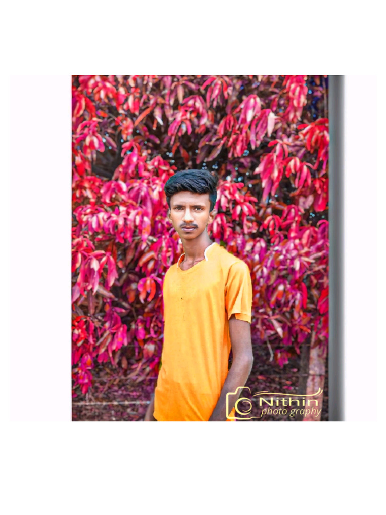 PDF Gallery - 20241119 - 161349 | PDF