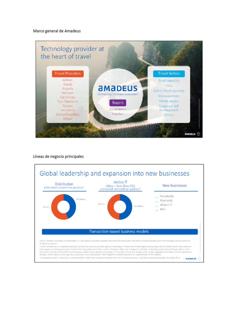 Marco General de Amadeus | PDF
