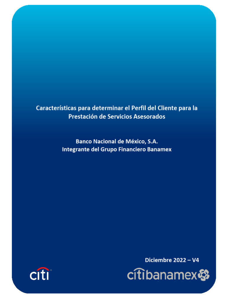 Caracteristicas Perfil Cliente Banamex | PDF | Portafolio (Finanzas) | Empresa de inversiones