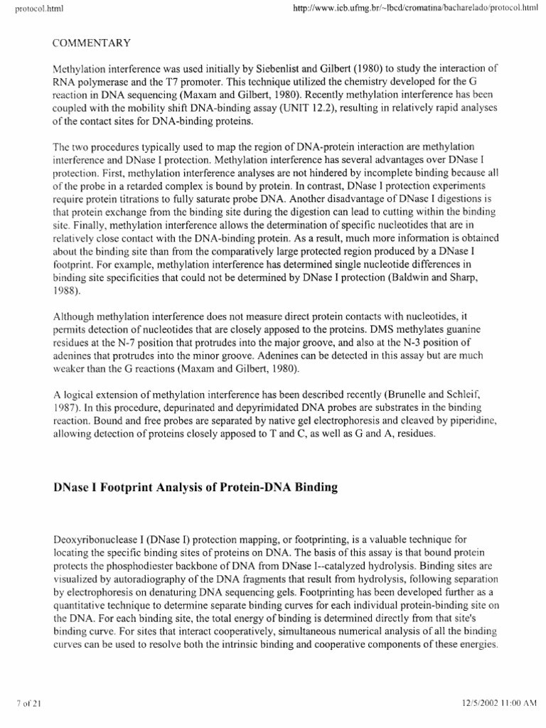 Dnase I Footprint Analysis of Dna Protein Binding | PDF