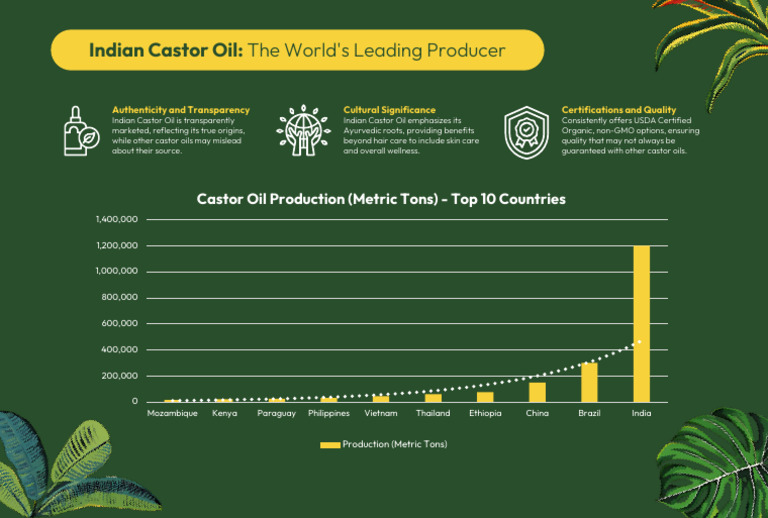 Indian Castor Oil: Top Producer & Benefits | PDF