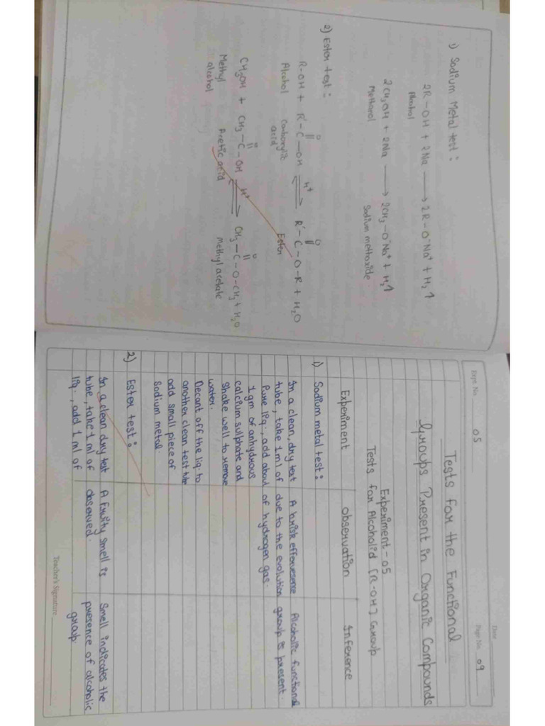 Functional Group Class 12 | PDF