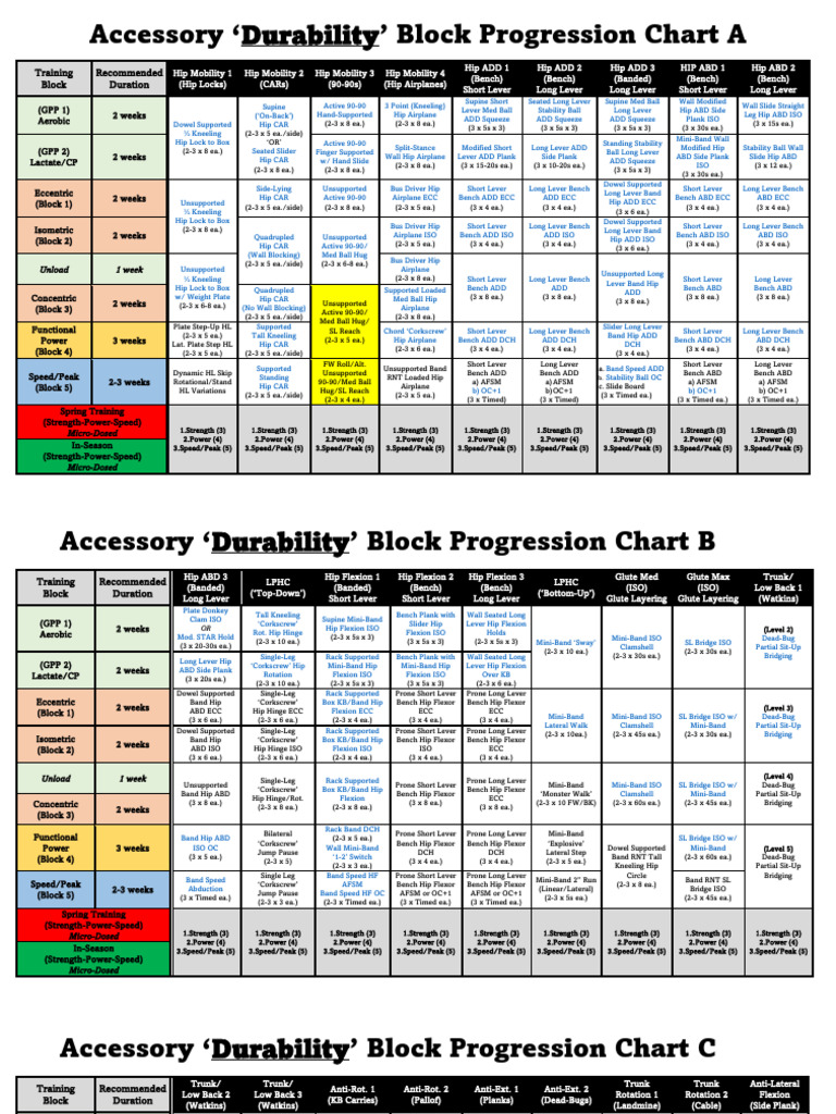 Accessory Exercise Progression Charts 1711838487 | PDF | Joints | Human ...