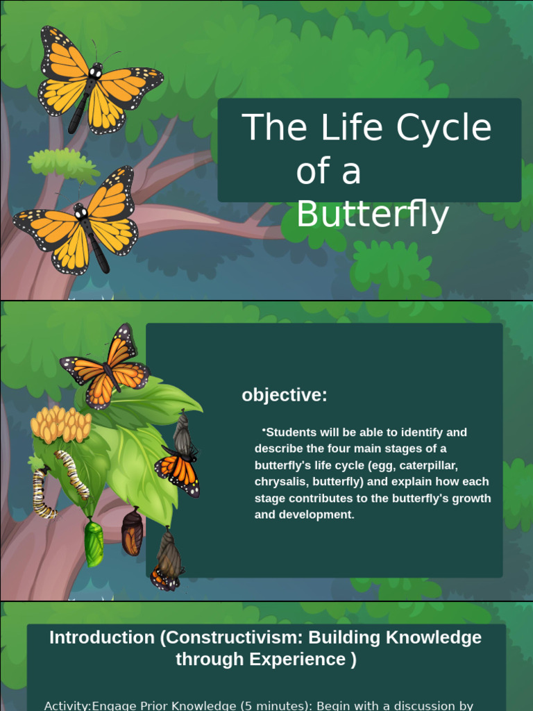 Ruizol, Aleneth Jul Beed 2a - PPT | PDF | Learning | Butterfly