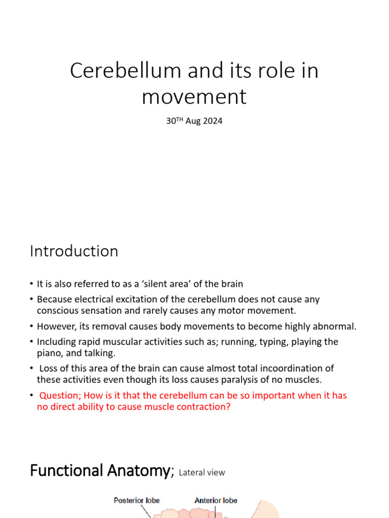 Cerebellum and Its Role in Movement | PDF | Cerebellum | Neuroscience