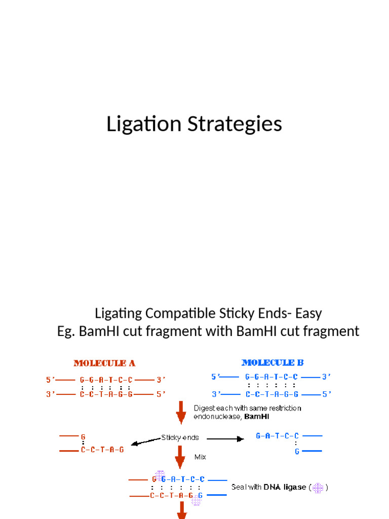 Lecture 4 Ligation Strategies | PDF