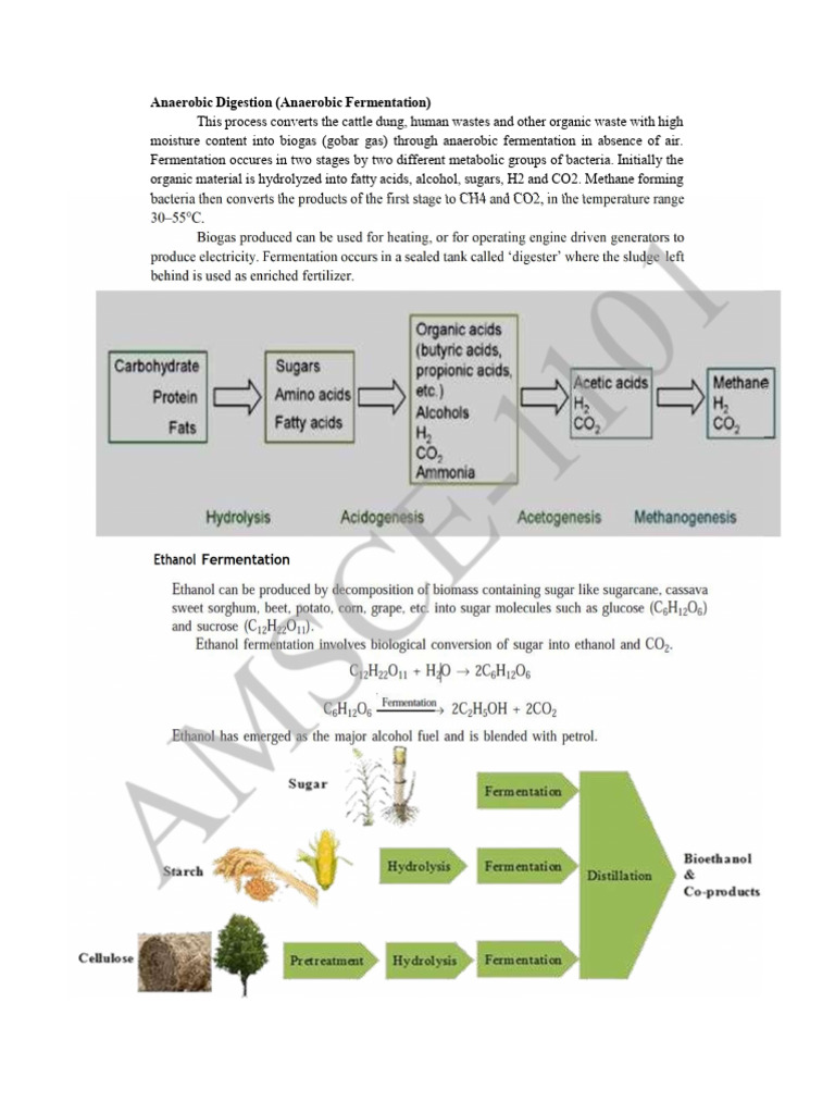 ASE Unit4a | PDF | Water | Oceans