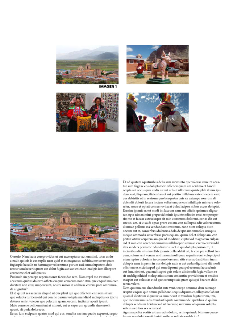 Prueba 1 Torito | PDF