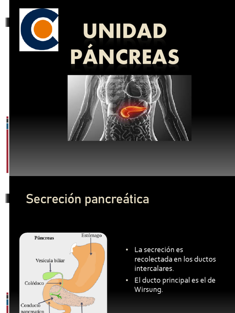 Unidad Páncreas | PDF | Páncreas | Abdomen