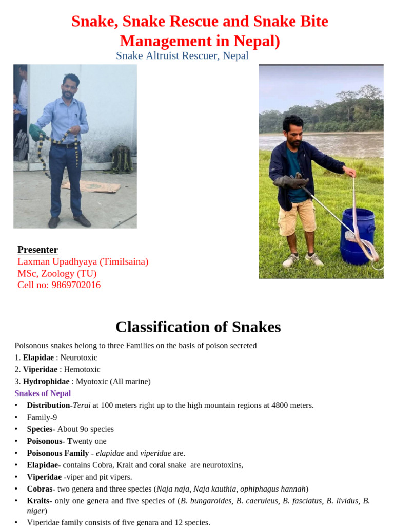 Snake Rescue & Bite Management Nepal | PDF | Snake | Squamata