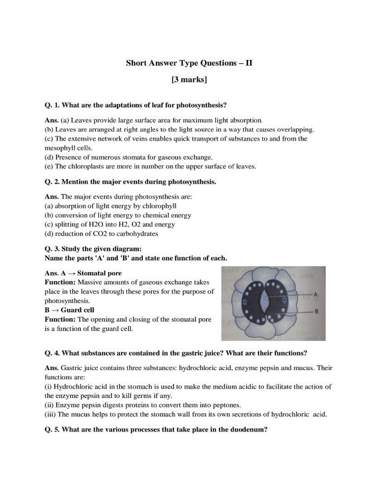 10.life Process.3marks | PDF