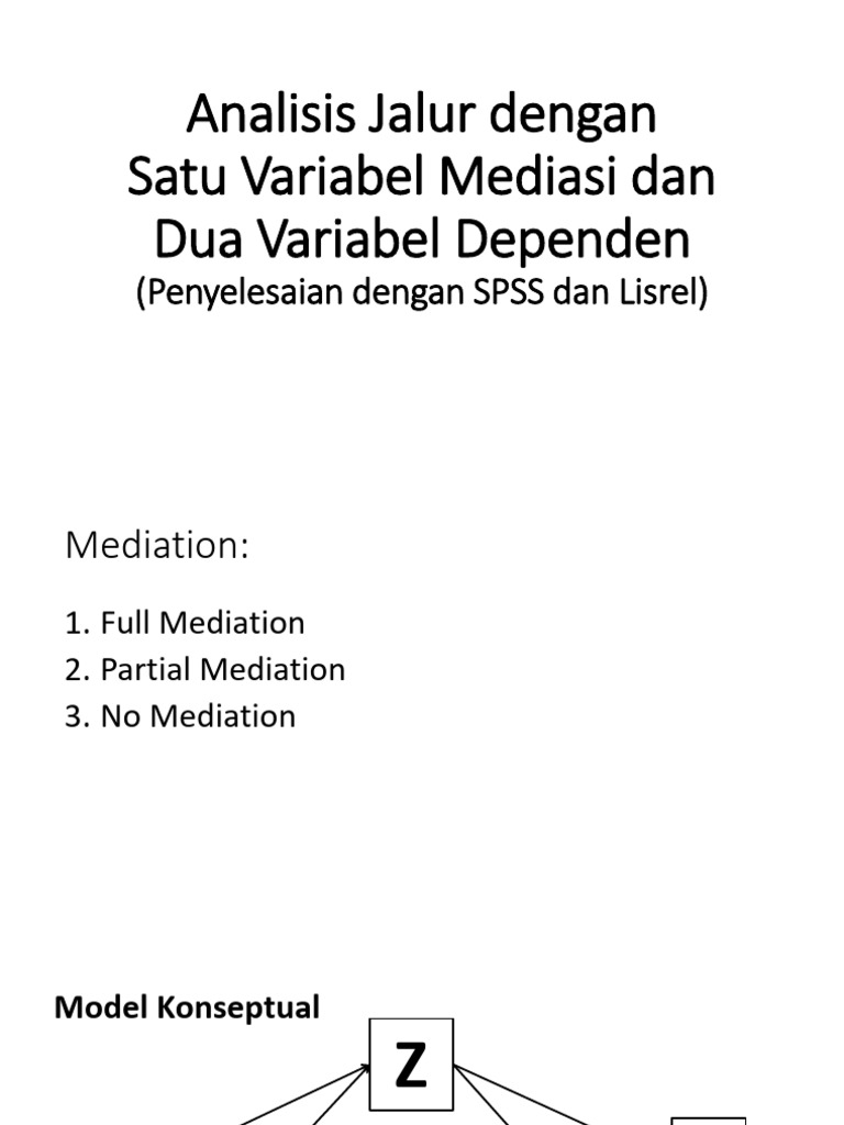 11 Model Analisis Jalur - Mediasi | PDF