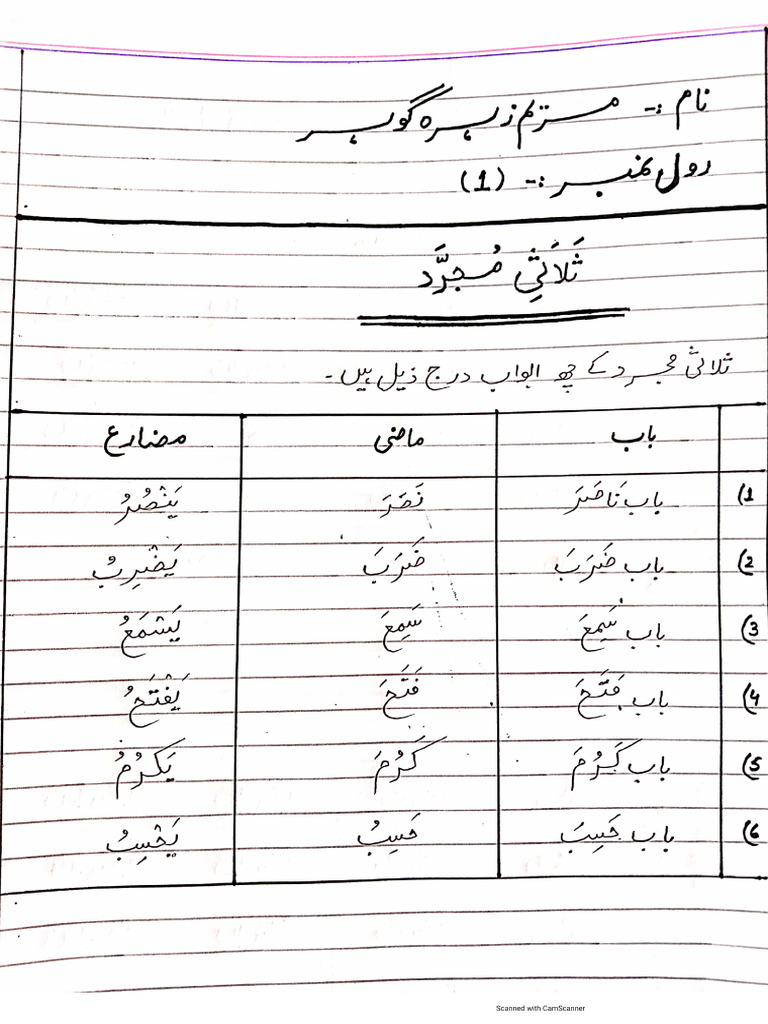 Maryam Zahra Gohar | PDF