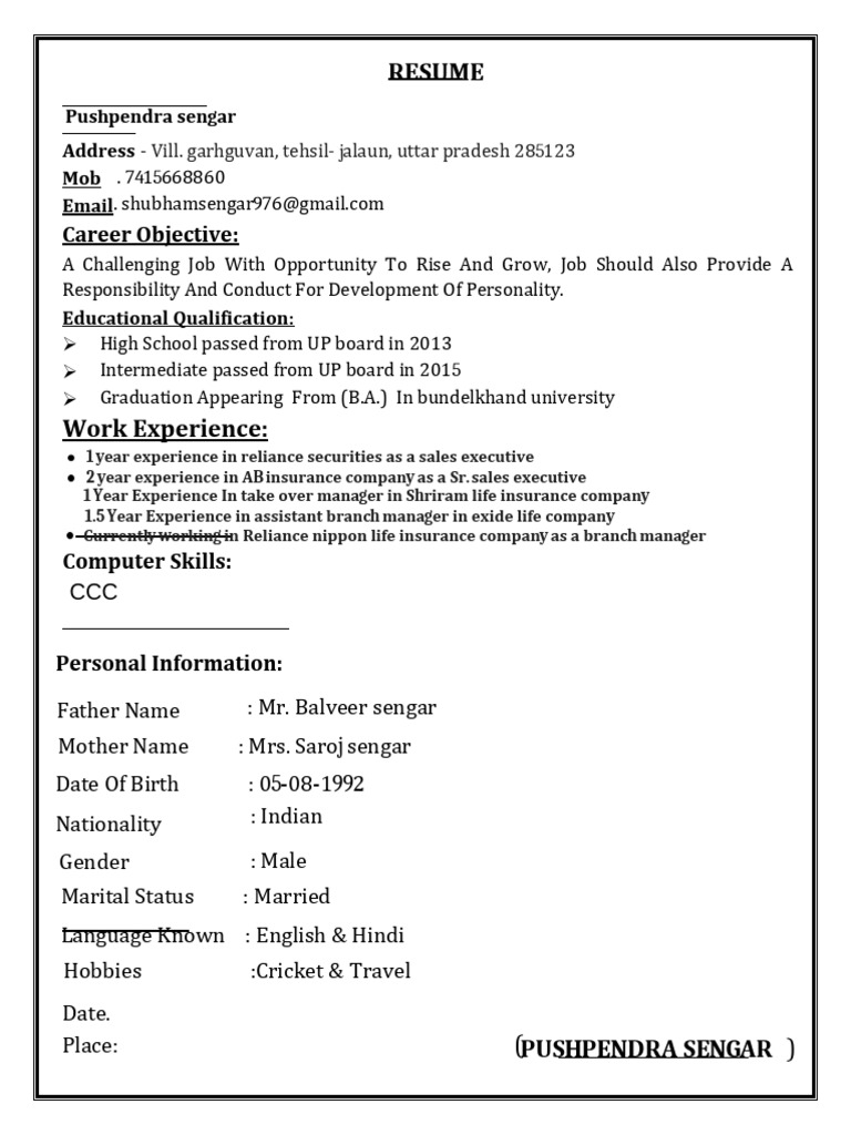Pushpendra Resume | PDF