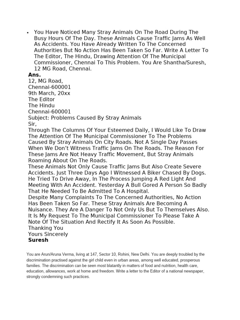 You Have Noticed Many Stray Animals On The Road During The Busy Hours ...