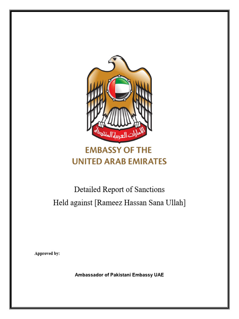 Detailed Report of Sanctions | PDF | Cybercrime | Computer Security