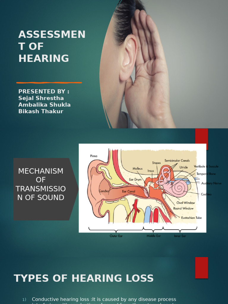 Hearing Test Presentation | PDF | Hearing | Neuroscience