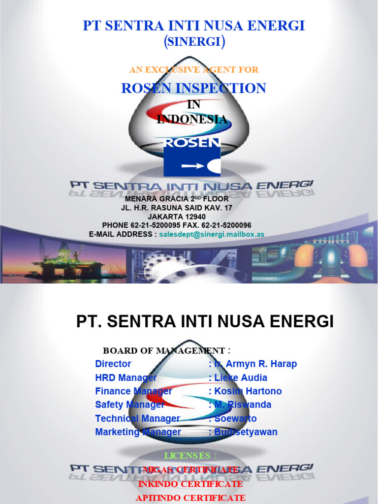 INTELLIGENT PIGGING PROCESS Rosen Presentation | PDF