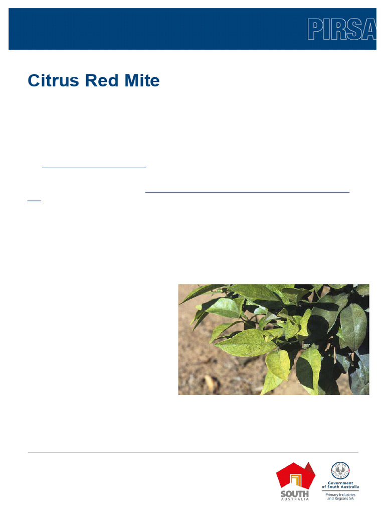 Fact Sheet - Citrus Red Mite - May 2020 | PDF | Citrus | Orange (Fruit)
