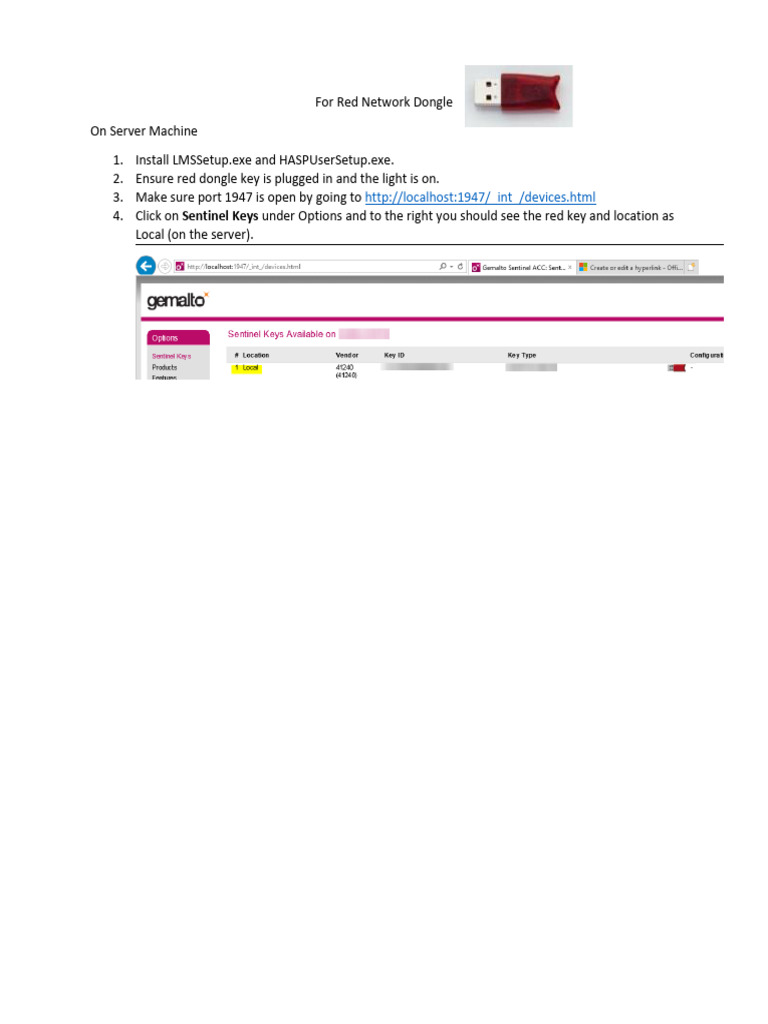 HASP Network Dongle Troubleshoot | PDF | Computer File | Directory (Computing)