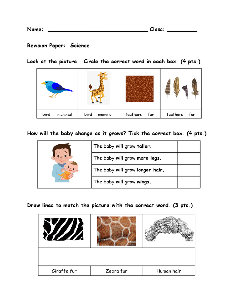 Science Revision Paper | PDF
