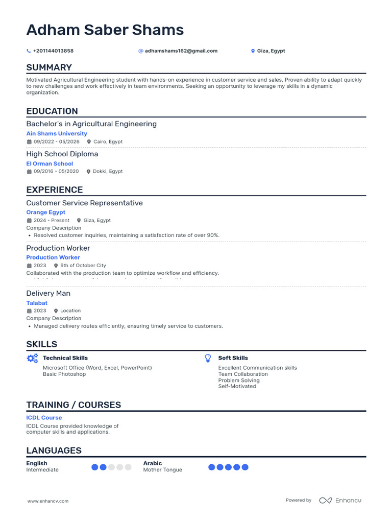 Adham Saber Shams Resume | PDF