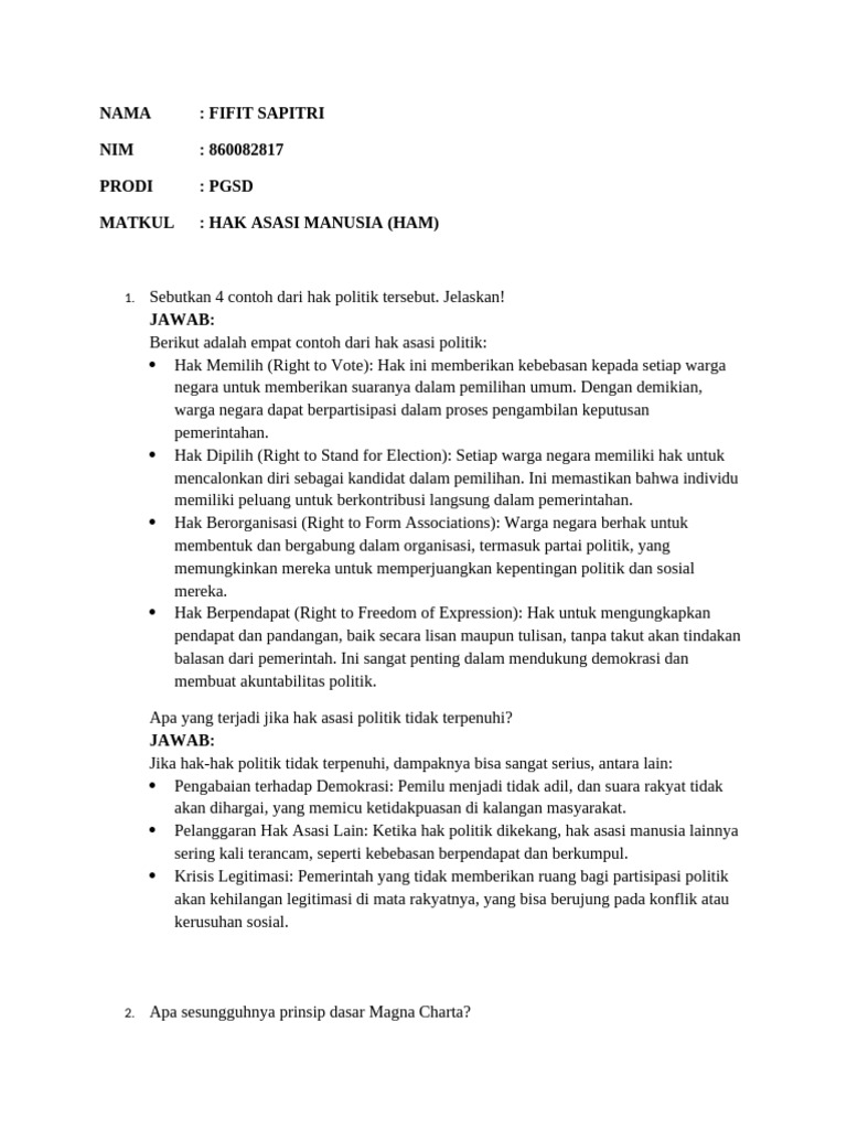 Tugas 1 Hak Asasi Manusia Fifit Sapitri 860082817 | PDF