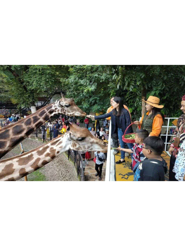 Zoo 4 | PDF