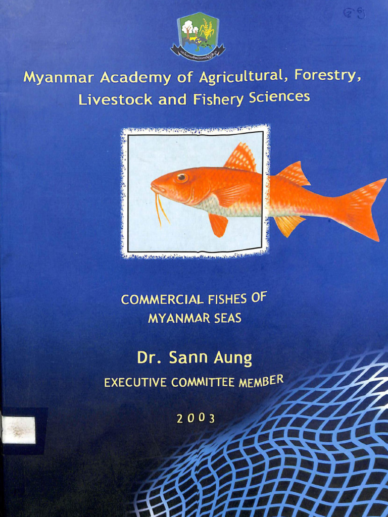 Commercial Fish Species of Myanmar | PDF | Fishery | Sea