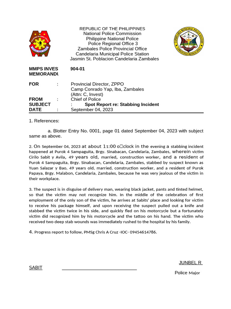 Spot Report (Draft) | PDF