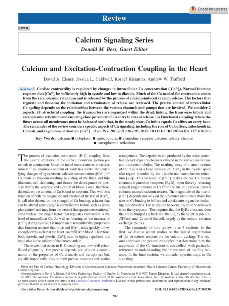 Calcium Dynamics in Cardiac Function | PDF | Muscle Contraction ...