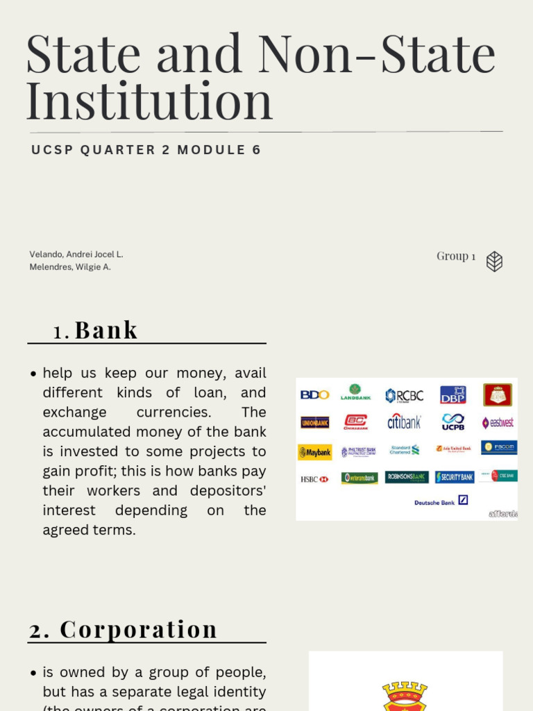 Non-State Institution PDF | PDF