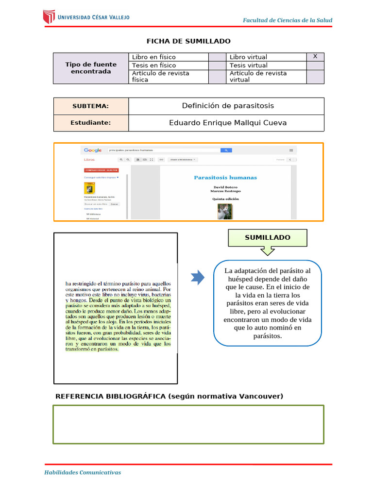 FORMATO DE FICHAS DE SUMILLADO Y DE RESUMEN (Eduardo | PDF