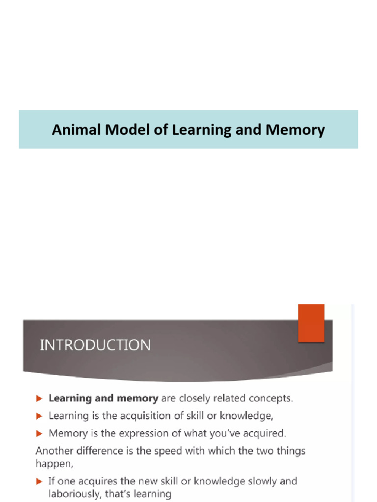 Animal Model For Learning and Memory | PDF