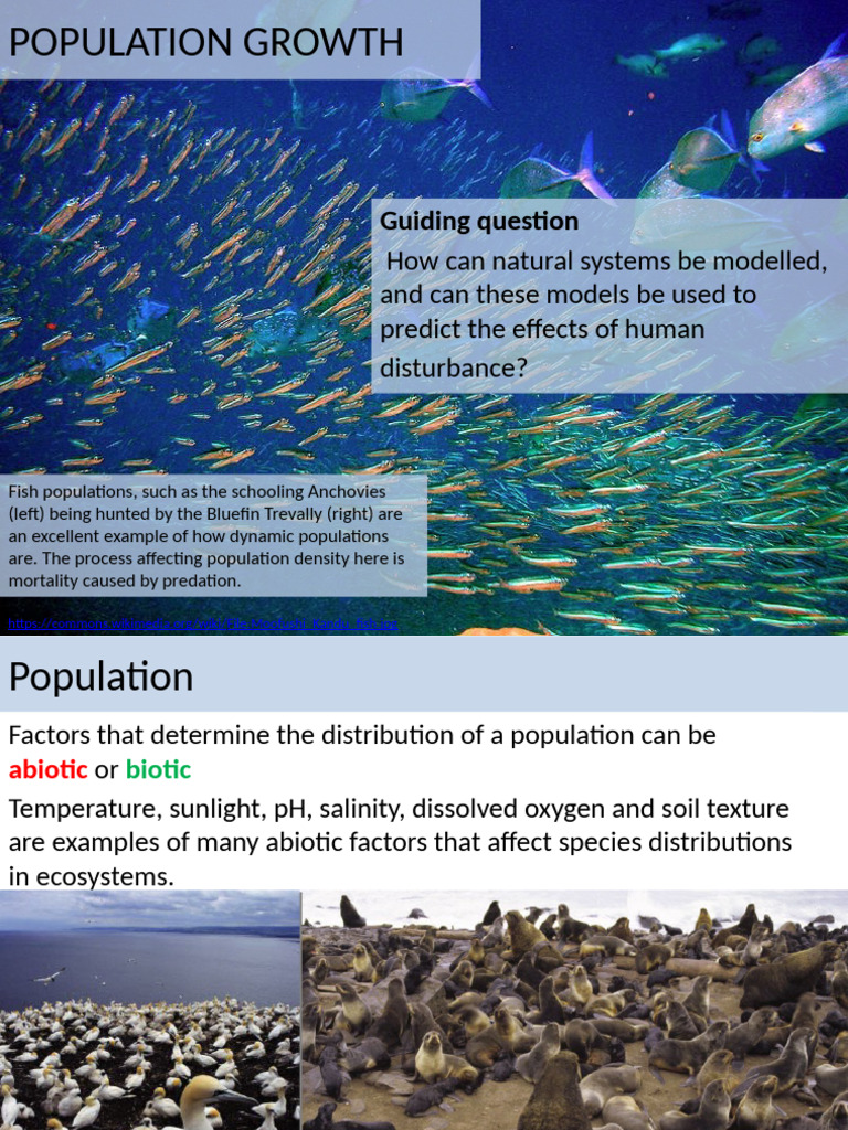 Lesson 3 Population Growth | PDF | Predation | Population Growth