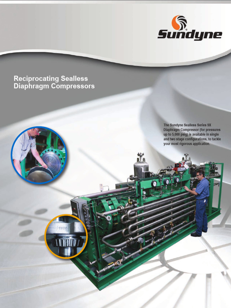 PPI Diaphragm Compressors Brochure US | PDF | Piston | Valve