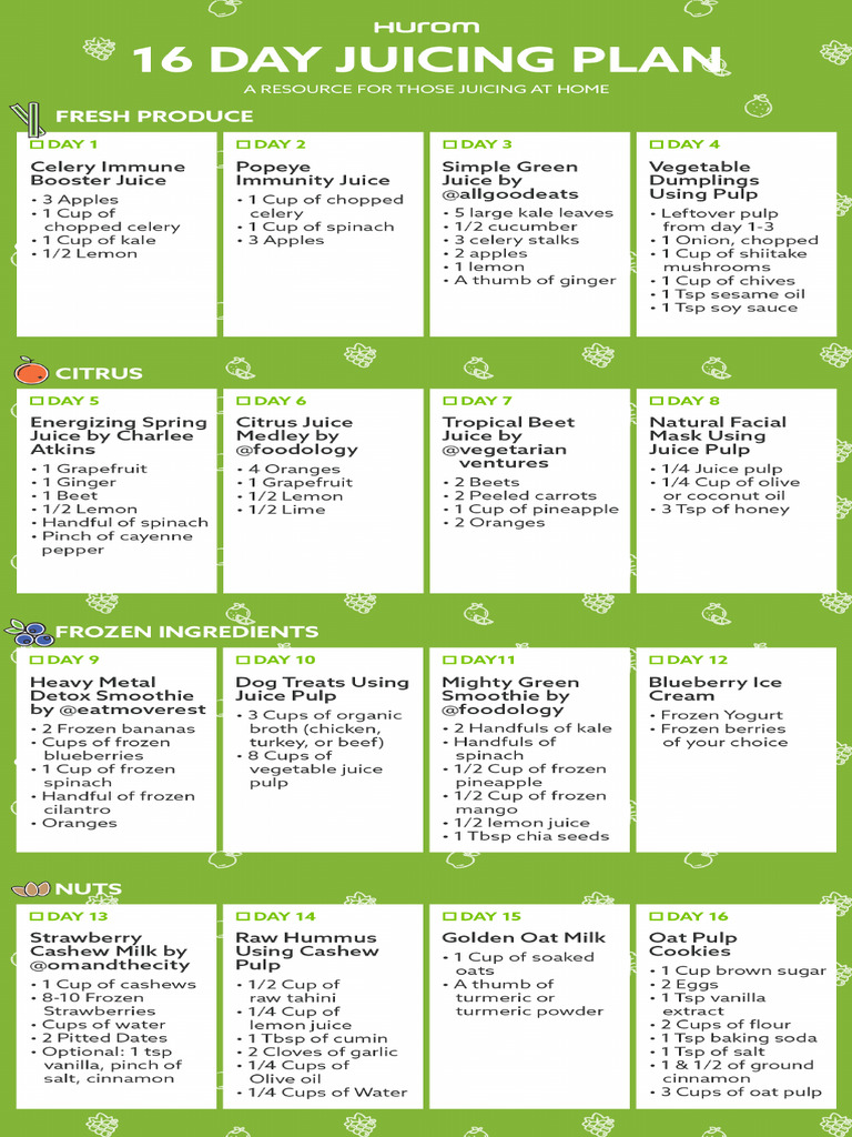 16 Day Juicing Plan Final | PDF